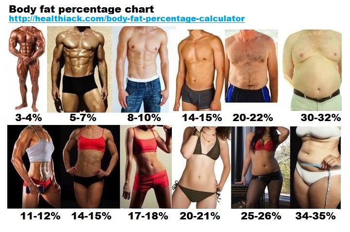 Body Fat Percentage Chart For Men And Women Nidsun