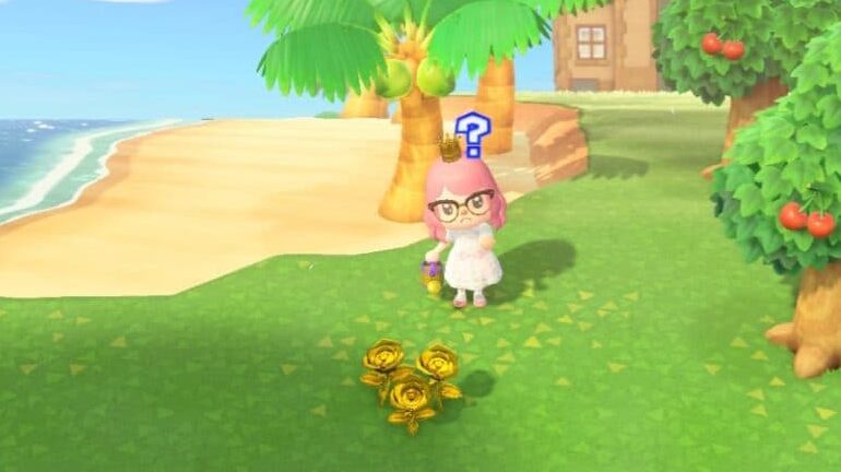 How To Grow Gold Roses In Animal Crossing New Horizons Nintendosoup