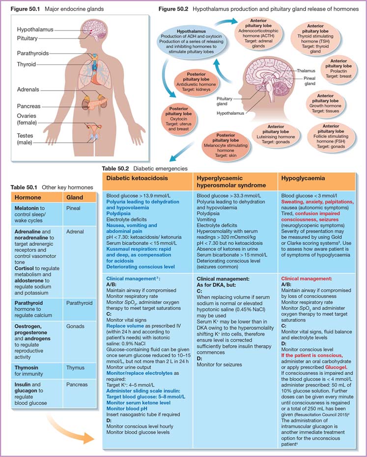 Acute Endocrine Problems Nurse Key