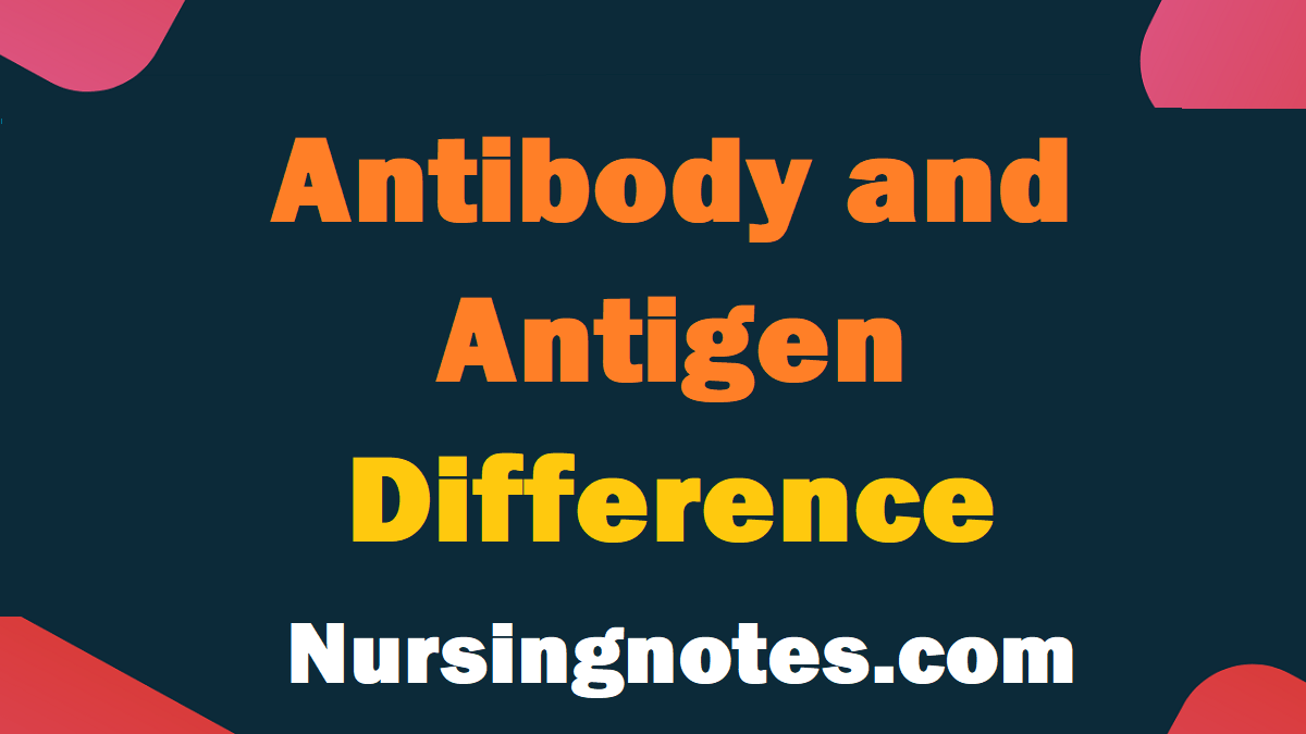 Antibody And Antigen Difference Nursingnotes