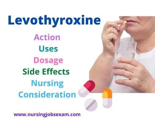 Levothyroxine Action Uses Dosage Side Effects Nursing Consideration