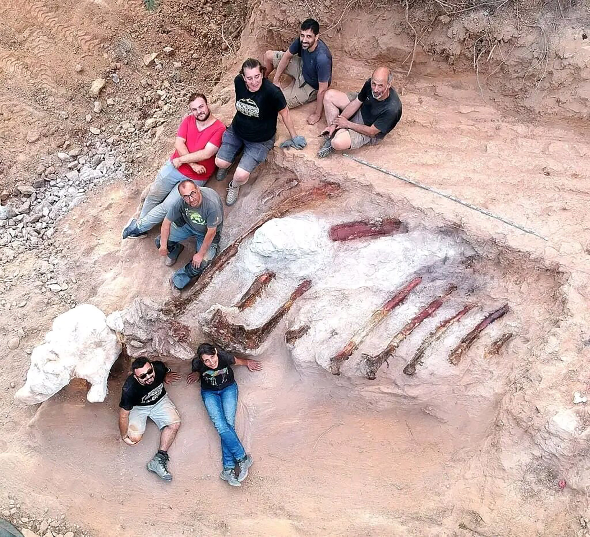 An 82 Foot Tall Dinosaur Skeleton Identified In A Mans Yard In