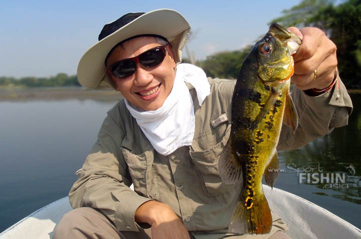 Peacock Bass Fishing With The Fish Addix Sport Fishing Asia