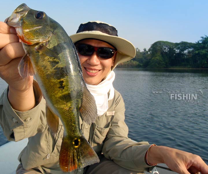 Peacock Bass Fishing With The Fish Addix Sport Fishing Asia