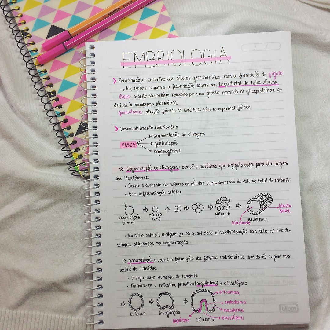 Mapa Mental Sobre Embriologia Study Maps