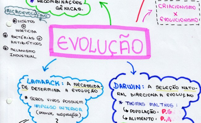 Mapa Mental De Teorias Evolutivas Em 2020 Teoria Mapa