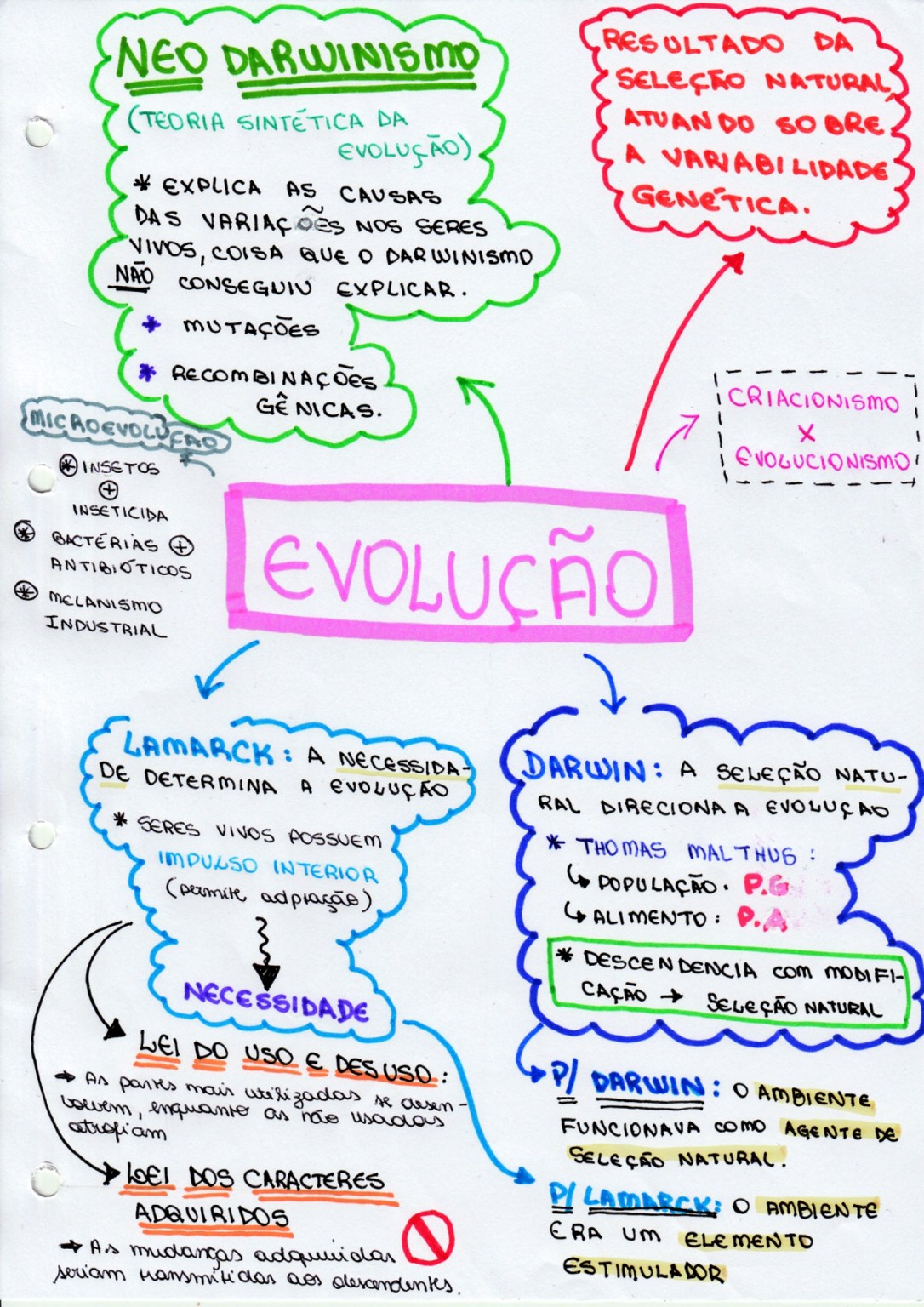 Teoria Da Evolução Mapa Mental Ensino