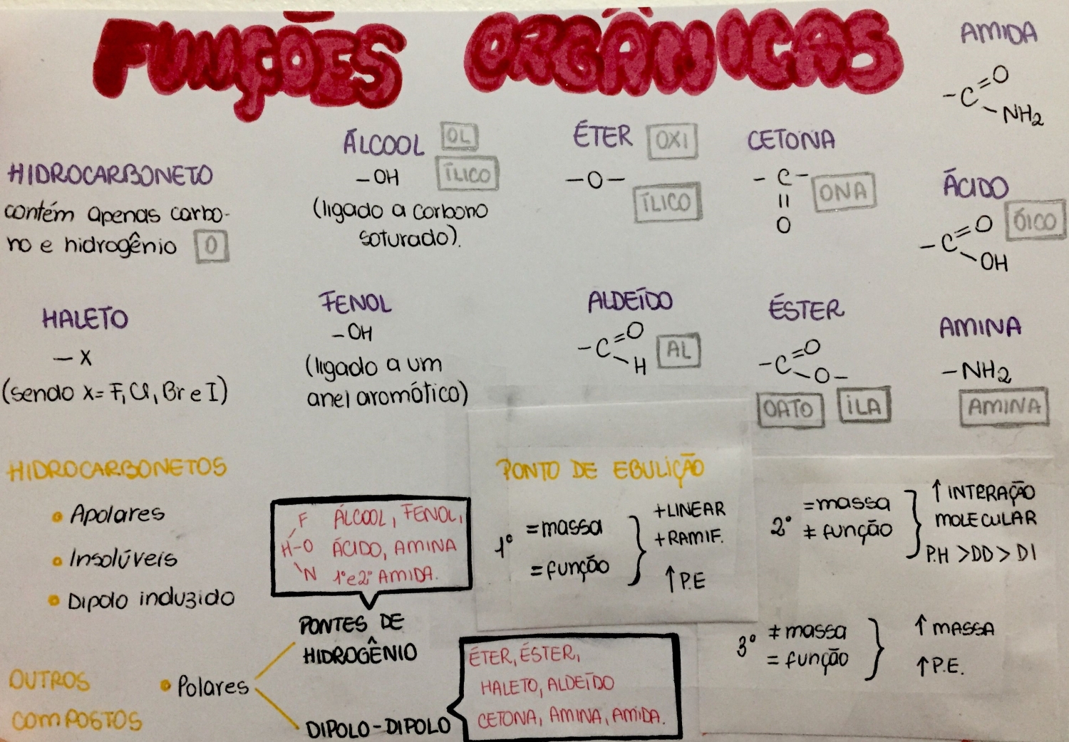 Mapa Mental De FunÇÕes OrgÂnicas Study Maps