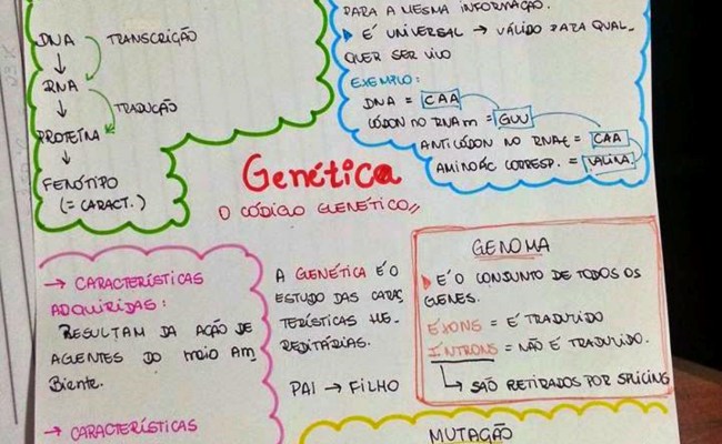 Mapa Mental Esquematizado Sobre Genetica Study Maps Otosection Porn