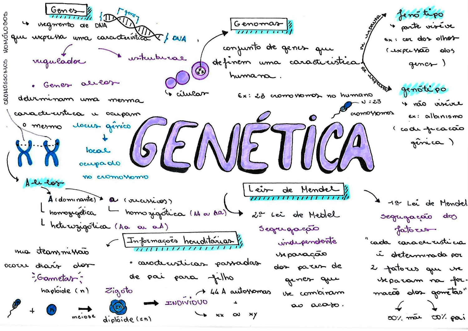 Mapa Mental Sobre Conceitos De Genetica Infografias Estudos Para O