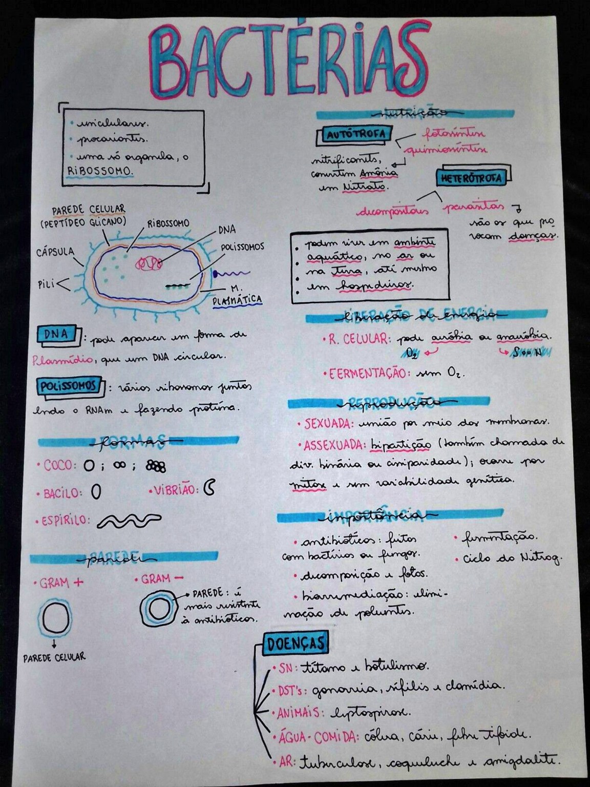 Mapa Mental Sobre BactÉrias Study Maps