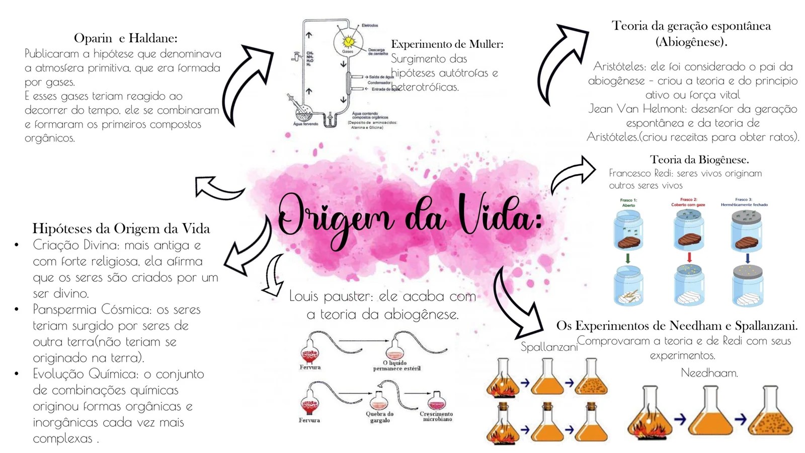 Mapa Mental Sobre Origem Da Vida Study Maps