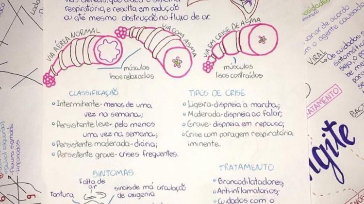 Mapa Mental Sobre Embriologia Study Maps