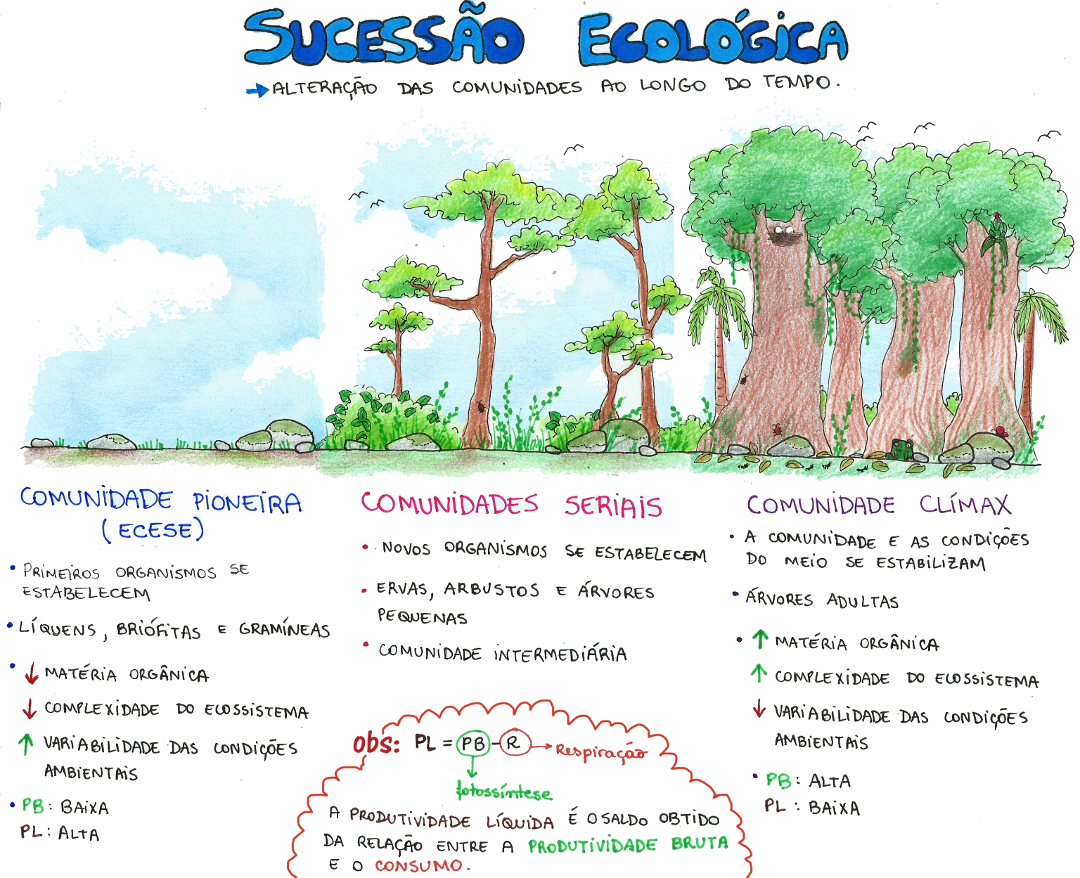 Mapa Mental Sobre SucessÃo EcolÓgica Study Maps