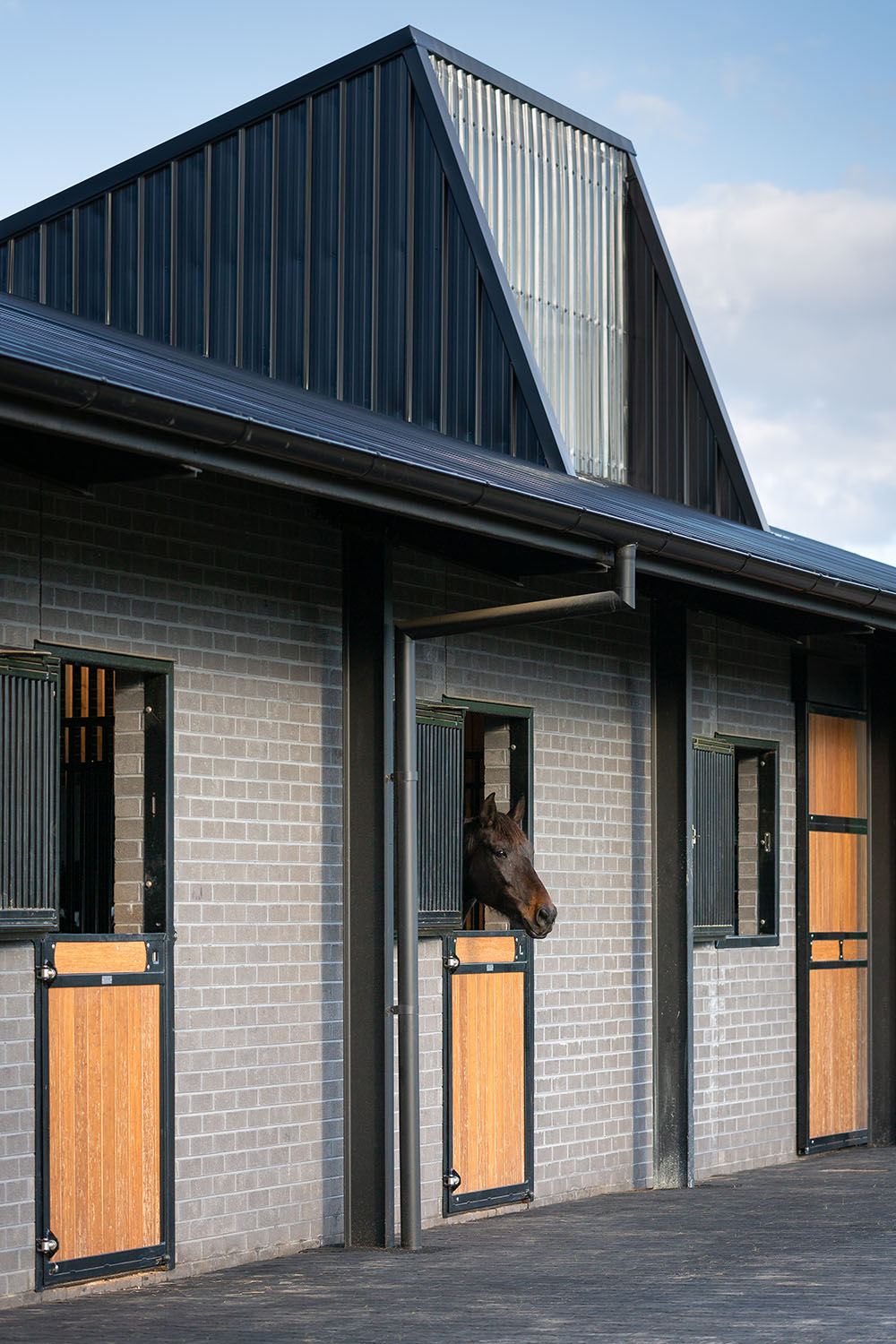 Tour Springside Warmbloods In Australia Stable Style