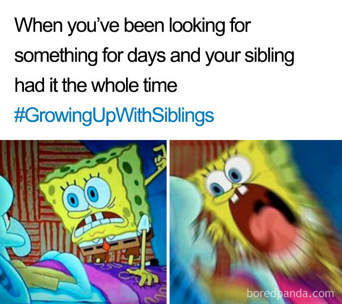 30 Funny Brother Memes To Troll Your Sibling With Say