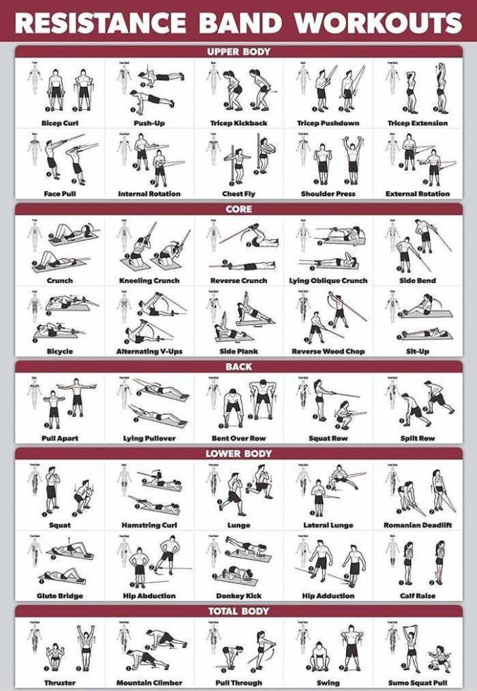 Free Printable Resistance Band Exercise Chart Pdf With Pictures