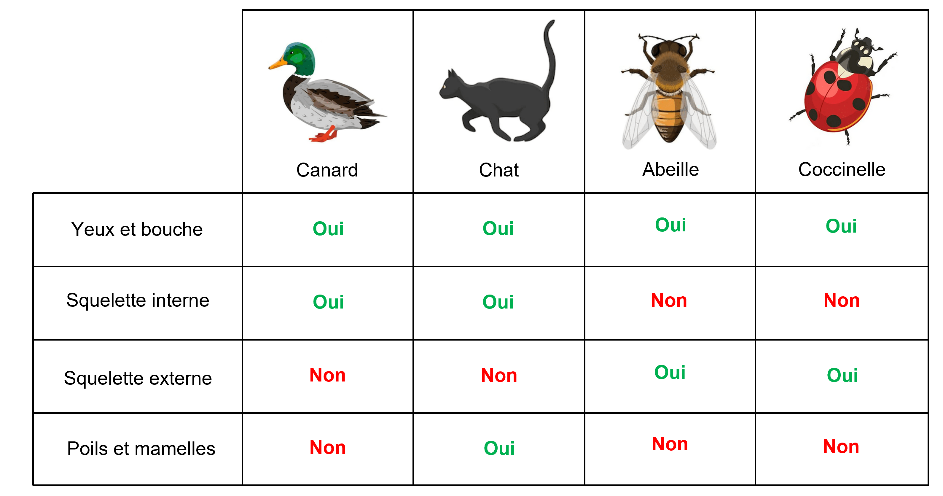 La Classification Des Êtres Vivants Svt Diderot