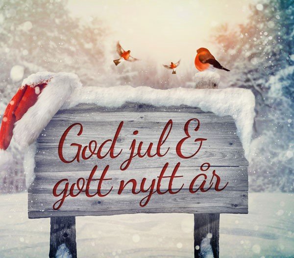 God Jul And Gott Nytt År Svenska Stenhus