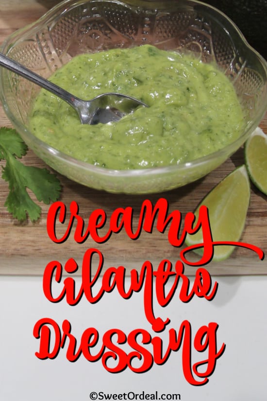 Creamy Cilantro Dressing Sweet Ordeal