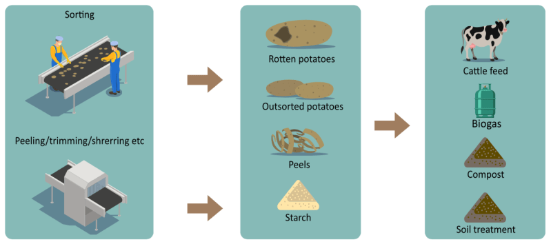 Potato Product Manufacturing Symbioma