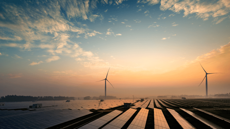 Jsw Neo Energy Secures 600 Mw Wind Solar Hybrid Power Project In