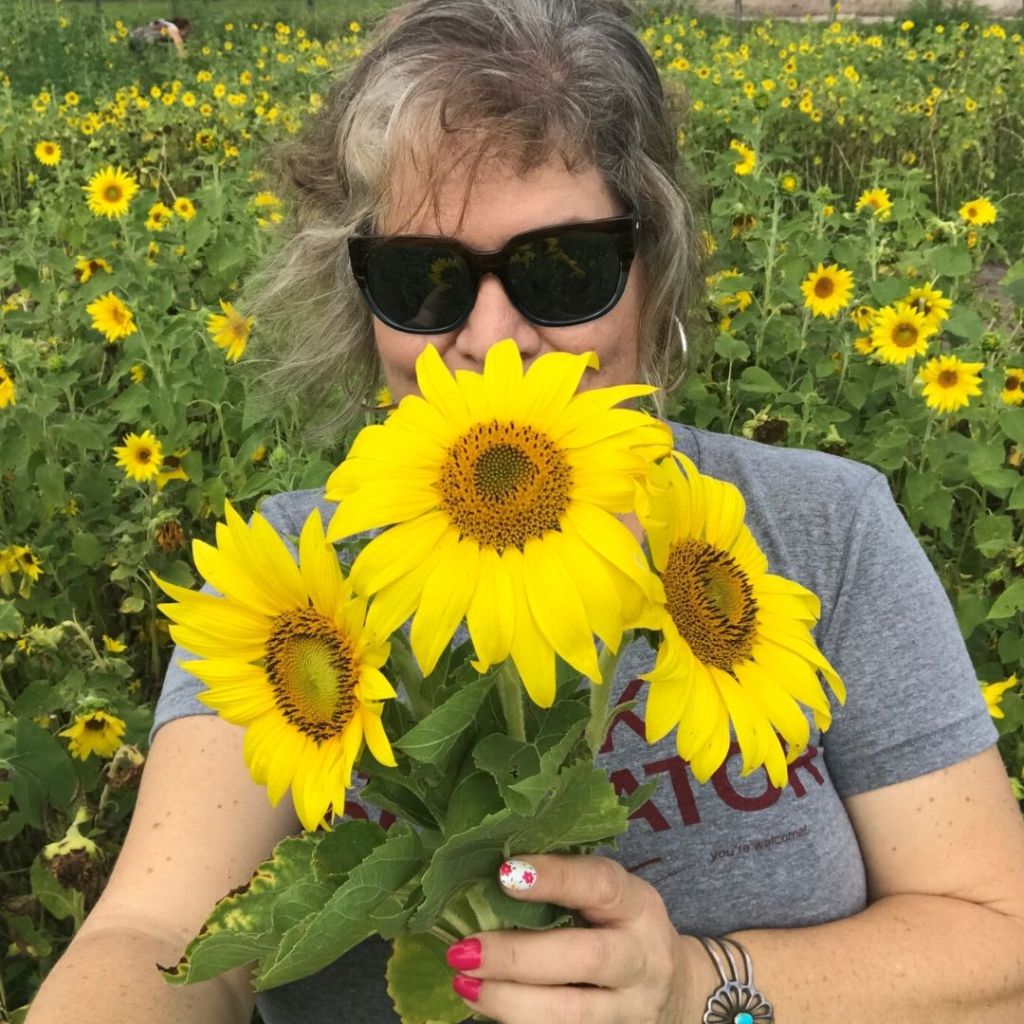 Sunflower U Pick Season In Tampa Bay Florida Solo Travel Girls