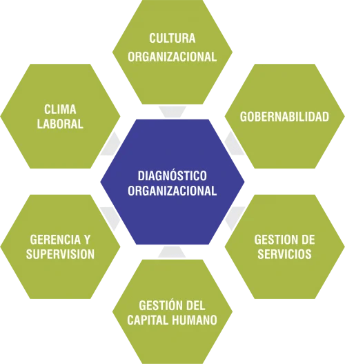 El Diagnóstico Organizacional Fundación Sonría