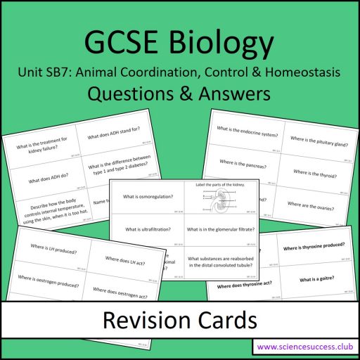 Gcse Biology Revision Cards Sb7 Science Success