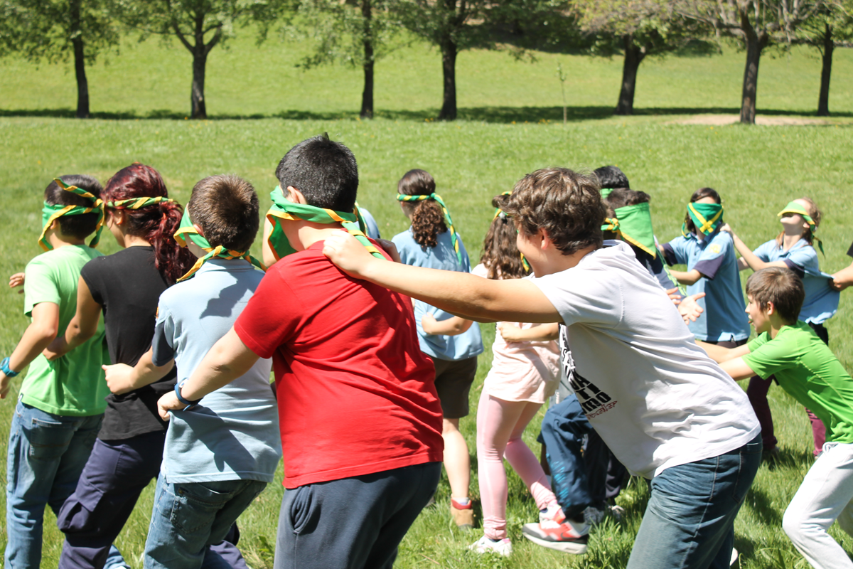 Programa De Becas Scouts Scouts De España