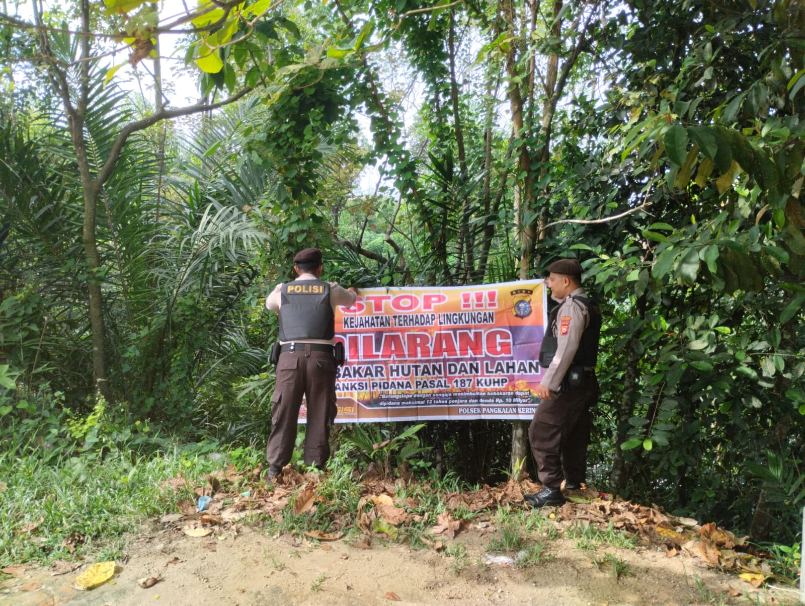 Polsek Pangkalan Kerinci Pasang Spanduk Larangan Pembakaran Hutan Dan