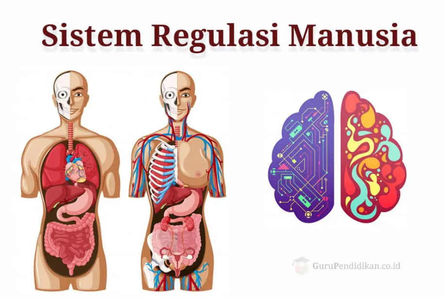 12 Ciri Ciri Makhluk Hidup Lengkap Dengan Contoh Dan Gambar