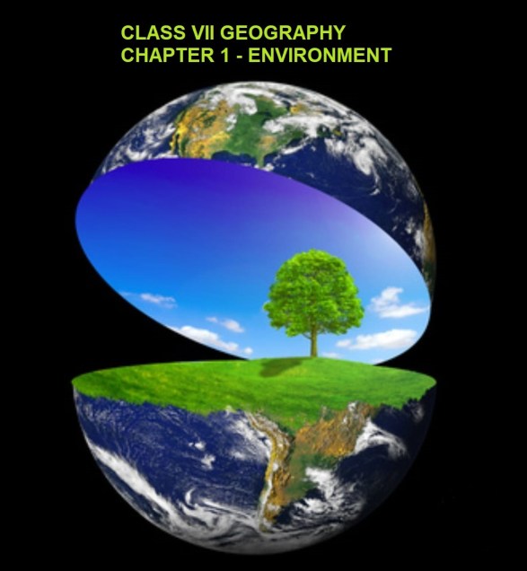 Class 7 Geography Chapter 1 Environment Ncert