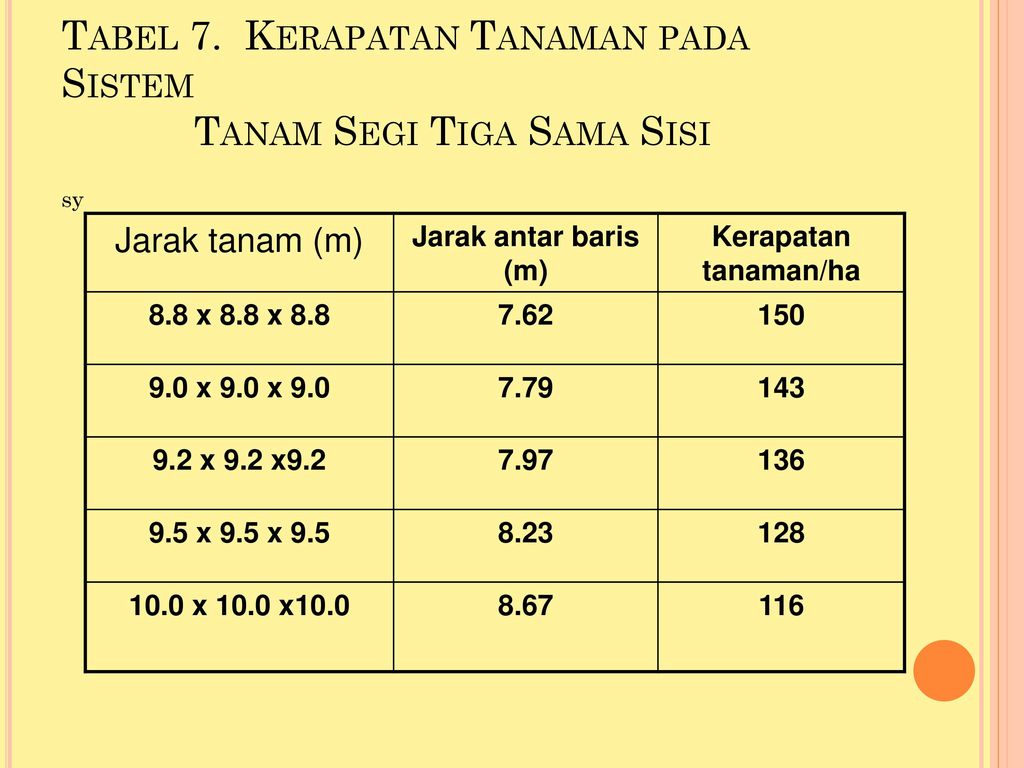 Tips Cara Menentukan Jarak Tanam Ideal Kelapa Sawit Y