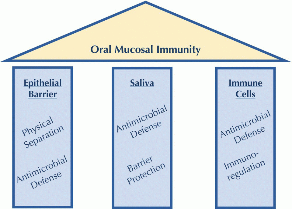 Immunologic Diseases Pocket Dentistry