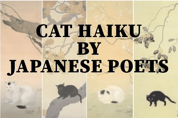 Cat Haiku By Traditional Japanese Poets