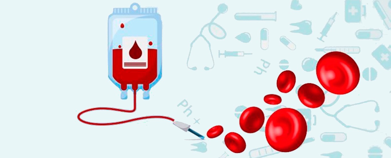 Sistema Abo De Grupos Sanguíneos Ponto Biologia