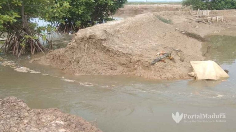 Tambak Siring Jebol Petani Garam Di Sampang Terancam Gagal Panen