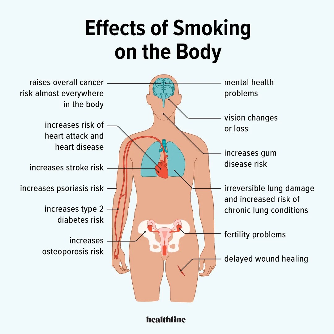 The Effects Of Smoking On The Body Bulb