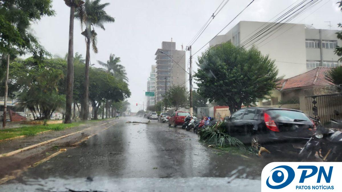 Chuva De Vento Derruba árvores E Alaga Ruas De Patos De Minas