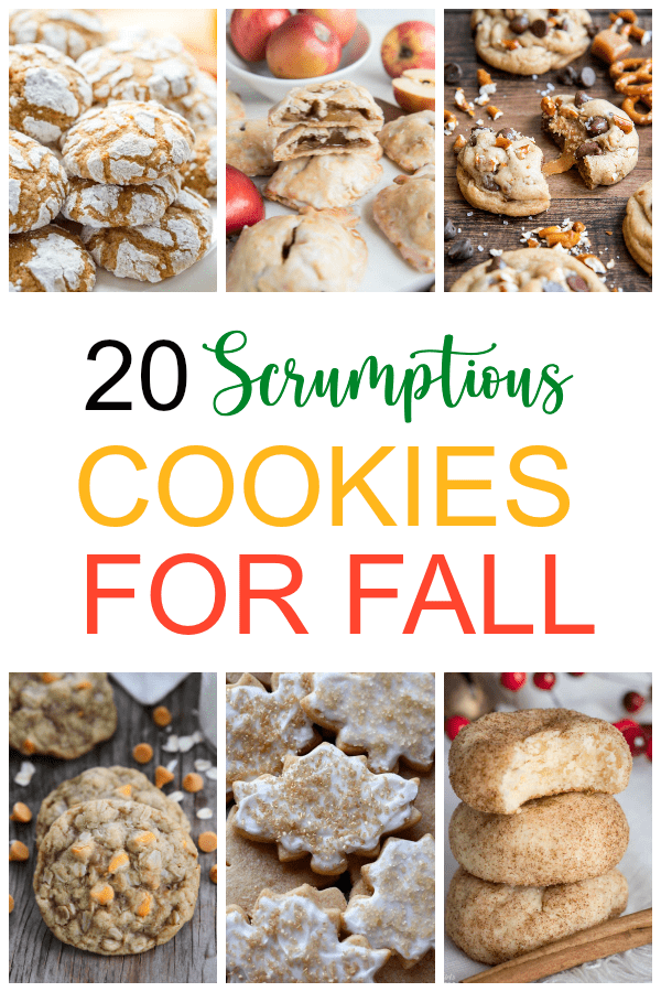 20 Scrumptious Cookies For Fall Pass Me A Spoon