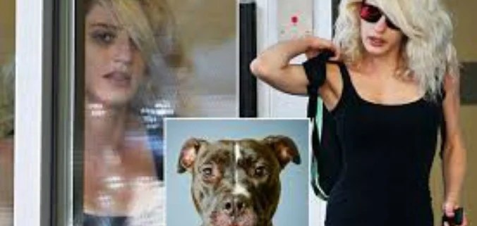 Sicko Woman Who Had Sex With Her Dog Avoids Prison • Pet Rescue Report