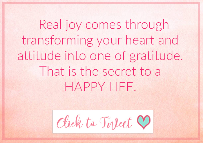 Finding Your Joy Is The Ticket To A Happy Life Peacefully Imperfect