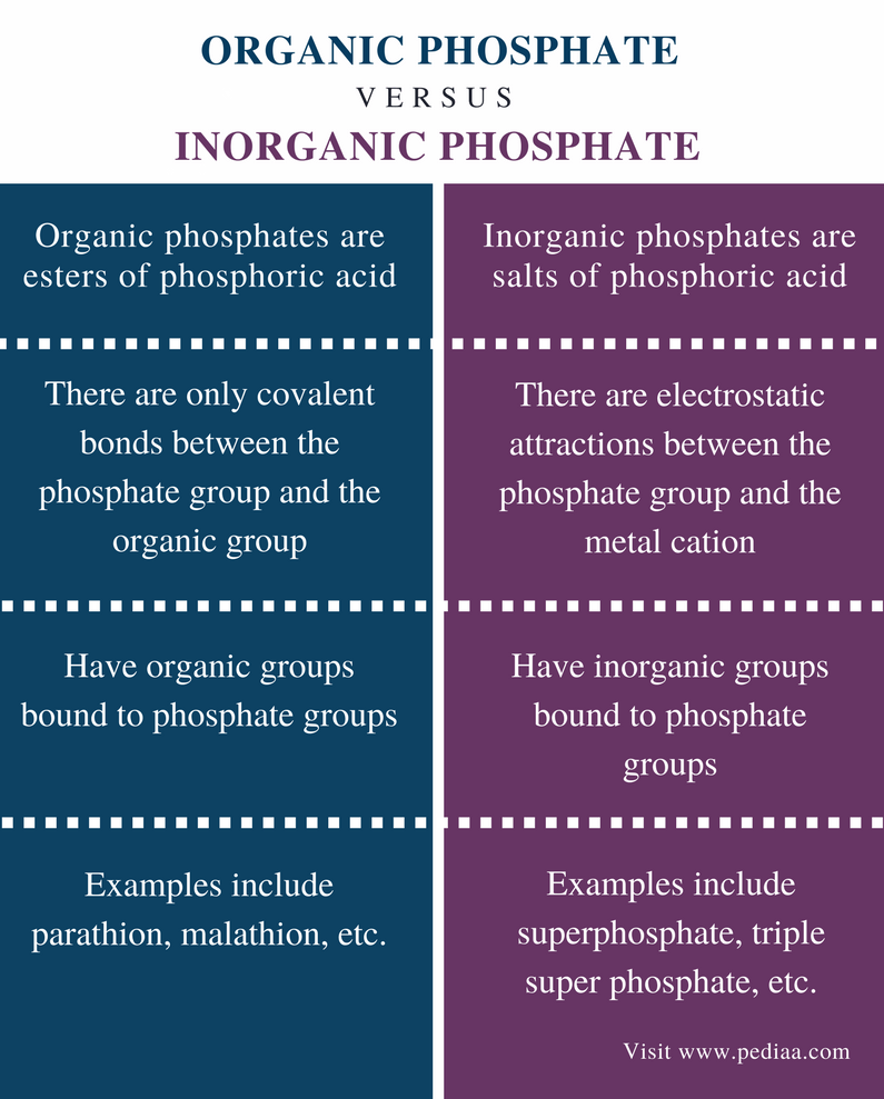 Difference Between Organic And Inorganic Phosphate Definition