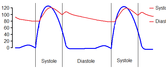 Difference Between Systolic And Diastolic Definition Normal Pressure