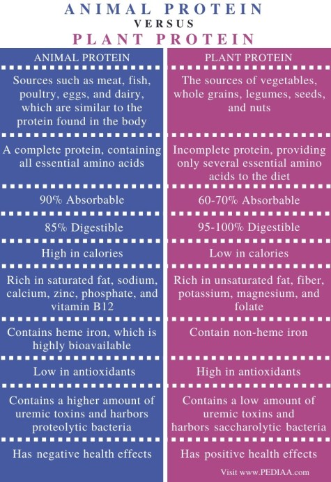 What Is The Difference Between Animal And Plant Protein Pediaacom