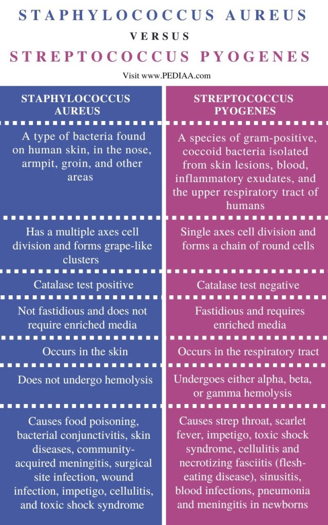 What Is The Difference Between Staphylococcus Aureus And Streptococcus