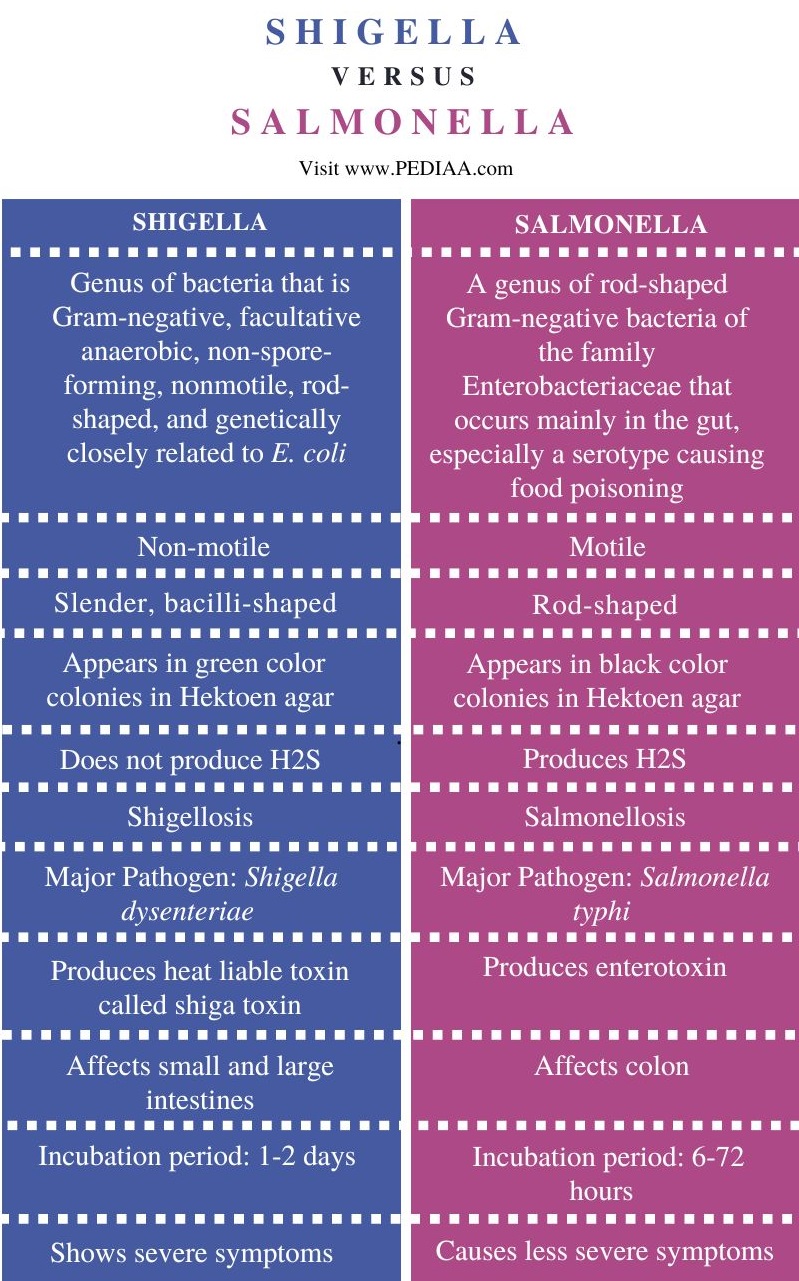 What Is The Difference Between Shigella And Salmonella Pediaacom