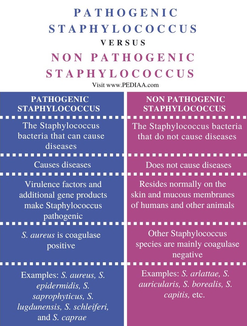 What Is The Difference Between Pathogenic And Non Pathogenic