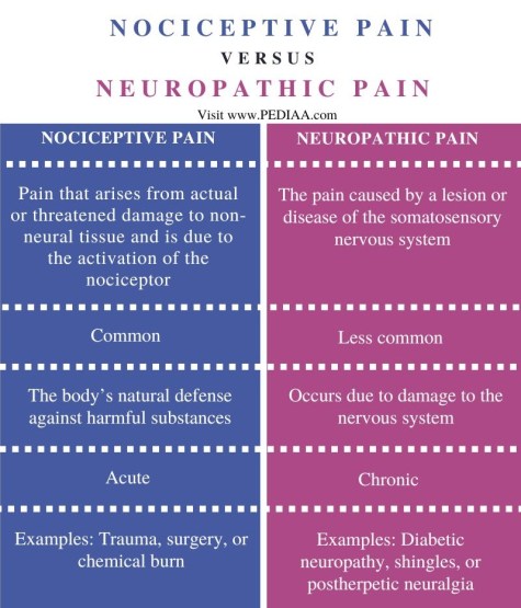 What Is The Difference Between Nociceptive And Neuropathic Pain